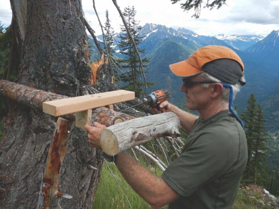 Meet a Wilburforce Fellow: Dr. Robert Long | COMPASS