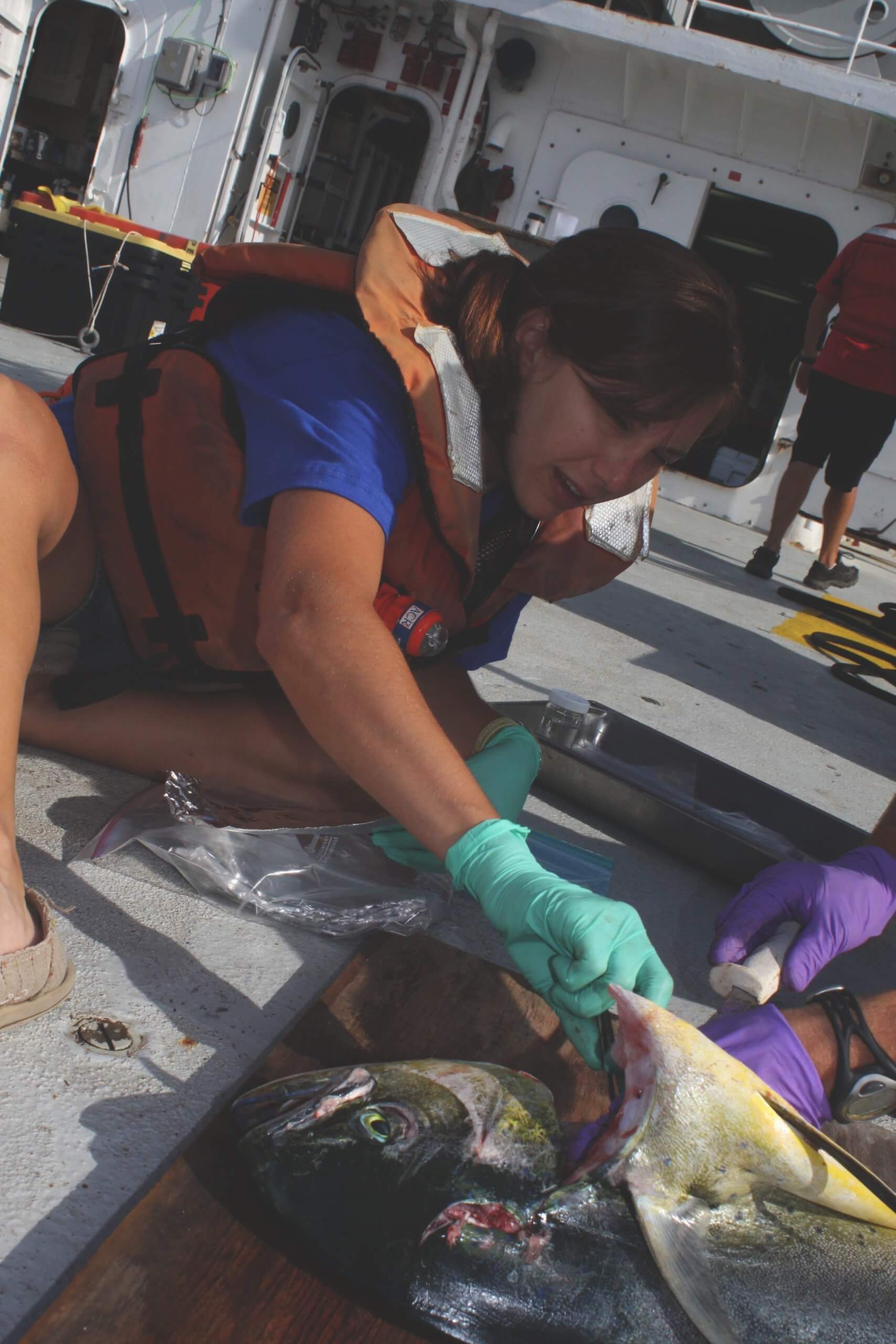 Straight from the Scientist: Dr. Chelsea Rochman | COMPASS