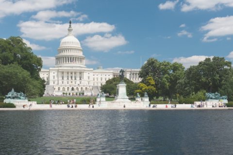 How to Craft a Great One-Pager | COMPASS