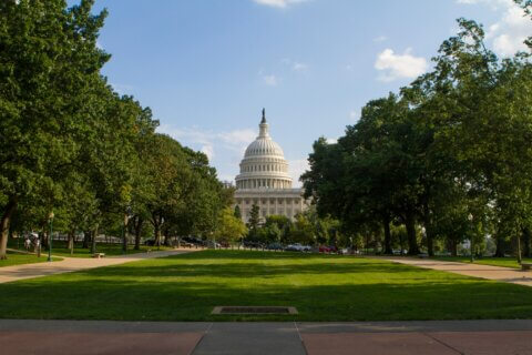 Capitol Hill 101: What to know and where to go (and how to dress ...